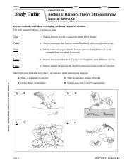Study Guide Chapter 15 Answers Doc Name Date Class CHAPTER 15 Study