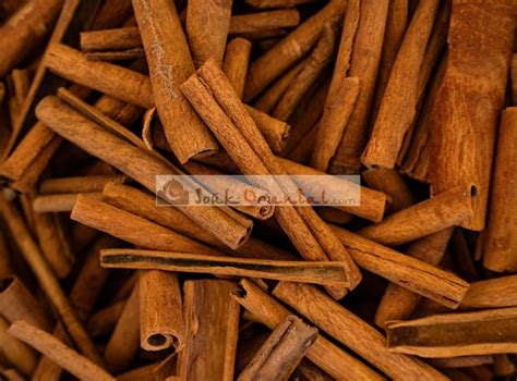 Cinnamon Stick
