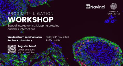 Navinci Diagnostics On Linkedin In Situ Proximity Ligation Workshop
