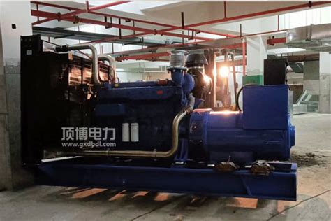 广西博白县建筑工程总公司采购500千瓦上柴发电机组配星光发电机 技术支持 顶博电力