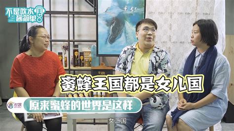 【第七集】蜜蜂上演宫心计？阿良喂惨变二世祖？蜜蜂的故事来啦！！ 原来蜜蜂真的很聪明？会自主管理？阿良喂竟然是二世祖？究竟怎么回事呢？原来这
