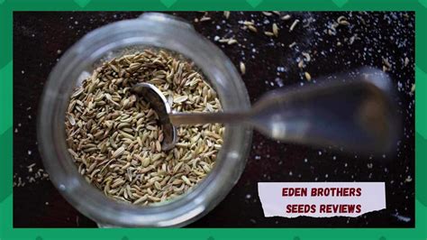 Eden Brothers Seeds Review Is It Good Farmer Grows