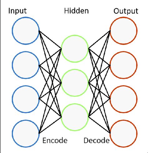 Autoencoder Architecture Download Scientific Diagram