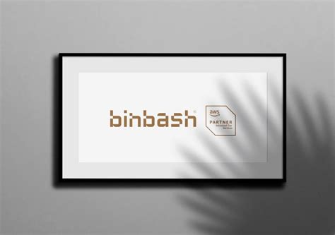 Advanced Binbash