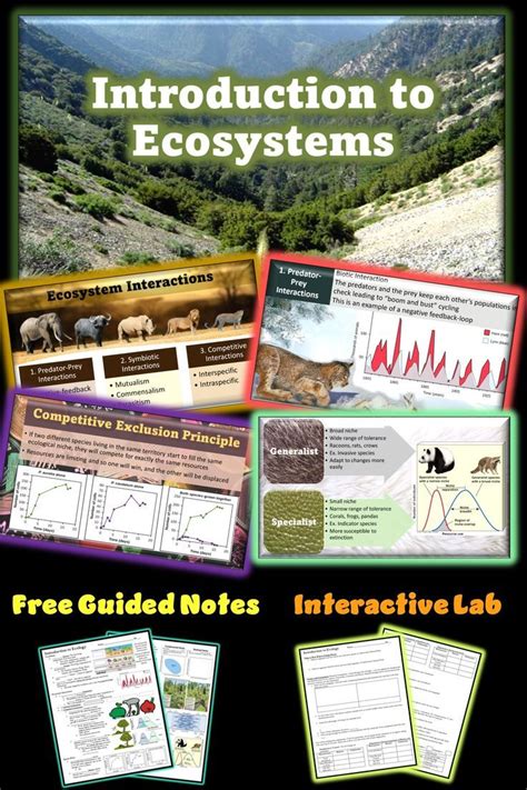 AP Environmental Introduction To Ecosystems Lesson BUNDLE Ecosystems Lessons Ap Environmental