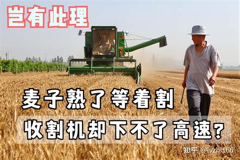 河南某地收割机被堵高速下不来，小麦生芽，老农落泪！收割机被卡高速下不来，河南小麦损失惨重！谁来为农民负责？ 知乎