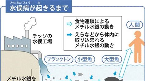 よく分かる 水俣病q＆a｜熊本日日新聞社