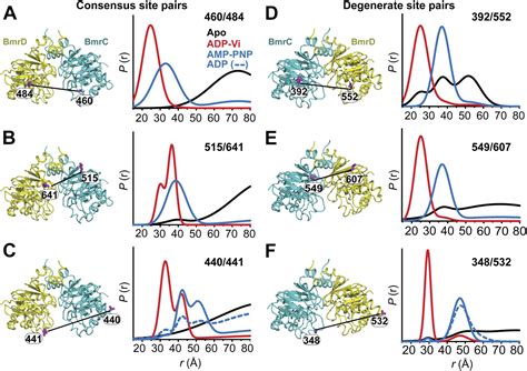 Figures And Data In Conformational Dynamics Of The Nucleotide Binding
