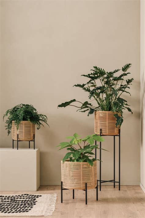 Vivi Plant Stands With Natural Rattan Basket Plant Stand Plant Decor