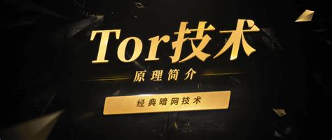 Tor 经典暗网技术的原理简介 哔哩哔哩