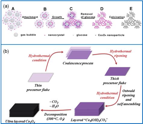 A Schematic Illustration Of Preparing Hollow Structure Co3o4 Via The Download Scientific