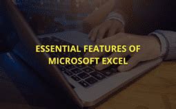 Exploring Microsoft Excels Features From Basics To Advanced