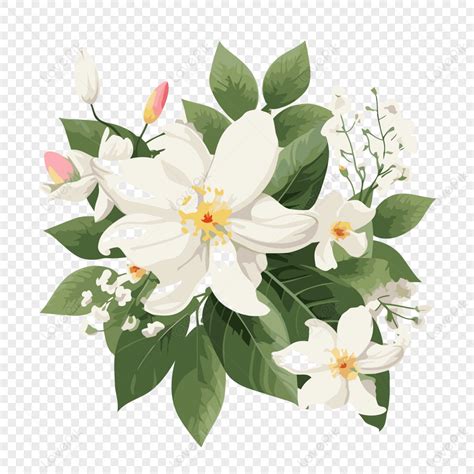ดอกไม้สีขาว เวกเตอร์การ์ตูนไม่มีสีดอกไม้ขาว Png สำหรับการดาวน์โหลด