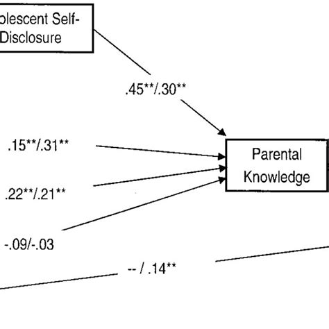 Standardized Path Coefficients For The Model Predicting Relationships