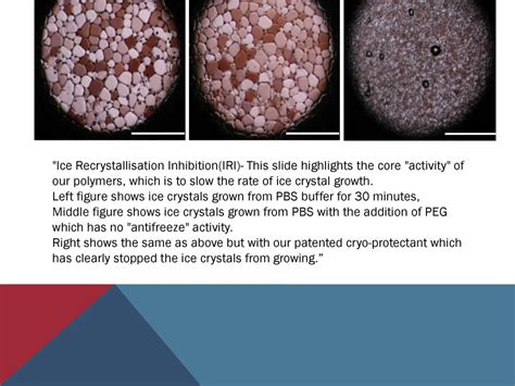 Executive Summary Of Business Case Ppt Download