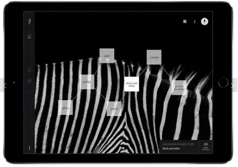 This New Mood Board App Is The Design Inspiration Tool You Ve Been Waiting For SolidSmack