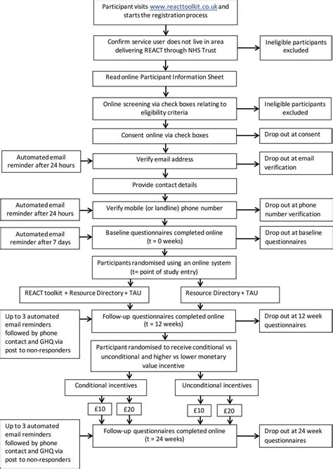 Protocol For An Online Randomised Controlled Trial To Evaluate The