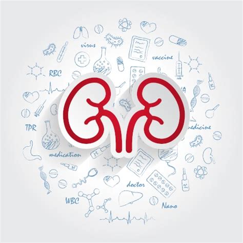 Afronile Healthcare Leading The Way In Trusted Medical Travel Services