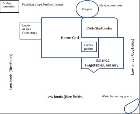 The Components Of Rbfs And Their Interrelationship In Farmers Field Download Scientific Diagram