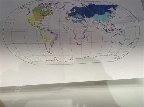 History Unit 1 Test Diagram Quizlet