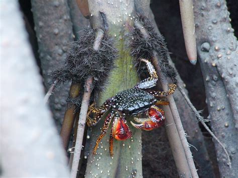 Guille Montoya Fotografía