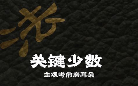 关键少数 哔哩哔哩