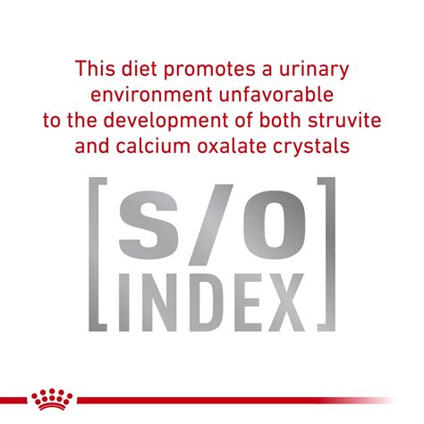 Royal Canin® Gastrointestinal Moderate Calorie Adult Cat Thin Slices In