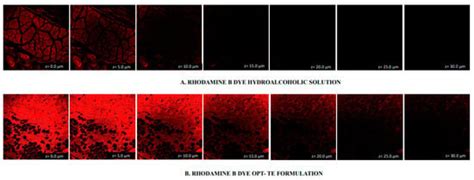 Gels Free Full Text Formulation And Characterization Of Hesperidin