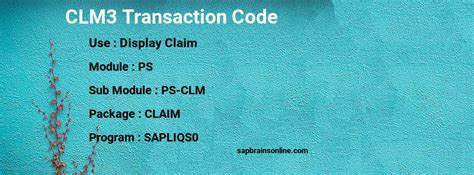 Clm3 Sap Tcode For Display Claim
