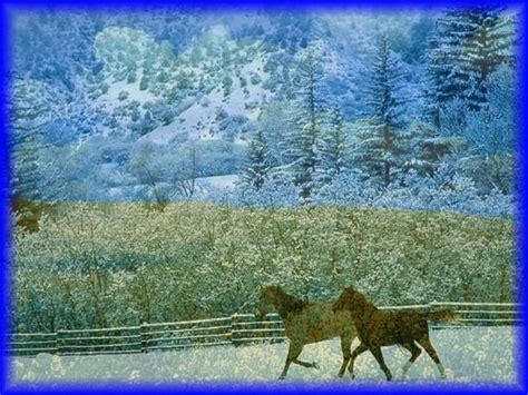 Fond Ecran Chevaux Page