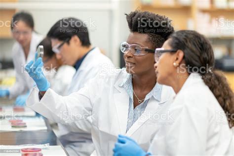 페트리 접시 샘플 스톡 사진을 분석하기 위해 함께 일하는 두 명의 여성 실험실 동료 30 34세에 대한 스톡 사진 및 기타