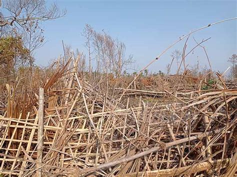 Dvb မုန်တိုင်းသင့် ပုဏ္ဏားကျွန်း ရွာ ၆၀ ခန့် အကူအညီမရသေး