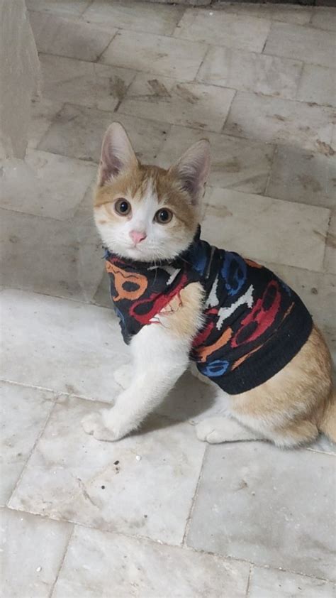 ‎آبجی عذرا ،مش غلام ، مش قربون‎ 3ekalepok • Instagram Photos And Videos