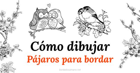 Cómo Dibujar Pájaros Para Bordar Bordados A Mano