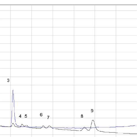 Standard Mixture Chromatogram For Hplc Sugar Determination Black And