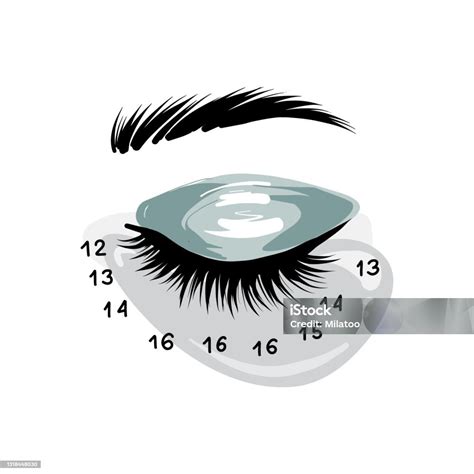 속눈썹 확장 아트 속눈썹 매핑 뷰티 화장품 치료 전문 뷰티 브랜딩 소셜 미디어 하이라이트 아이콘 세트 사용자 정의 도면 눈썹 Ct 가짜 속눈썹에 대한 스톡 벡터 아트 및
