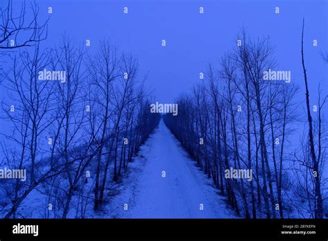 File Aerial View Of The Hulunbuir Prairie Covered By Snow In