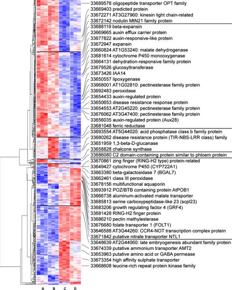 Heatmap Of Normalized Intensity Values Obtained From Cowpea Microarray