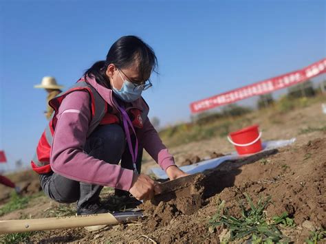 郑州市第二十届职工技术运动会地质勘查土壤调查技能竞赛圆满闭幕—河南省地质局矿产资源勘查中心