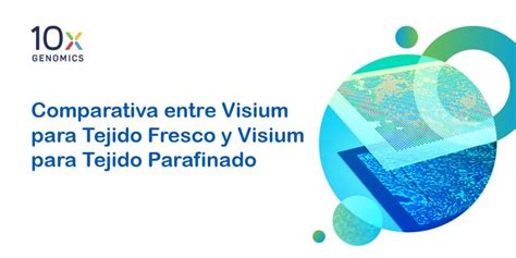 Comparativa Entre Visium Para Tejido Fresco Y Visium Para Tejido