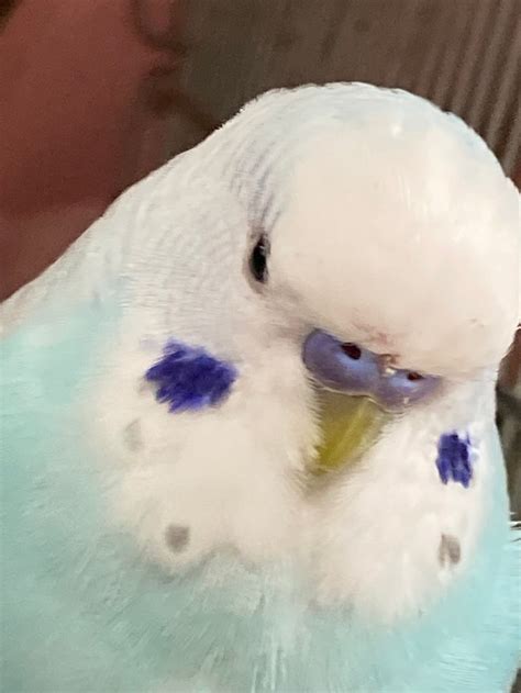 C S A On Twitter Https T Co