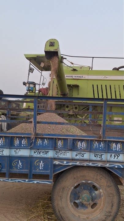 किसान खेतों में दिपावली की पुजा कर रहा है । Tractor Farmer Farming