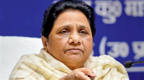 Sp Fielded Dalit Obc Candidates Despite Numbers Stacked Against Them