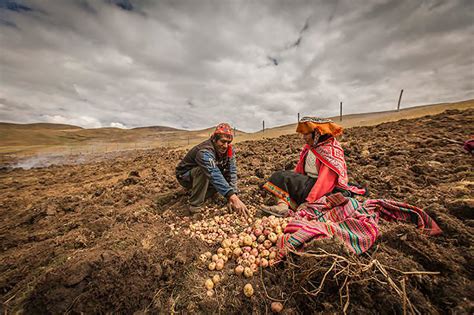 Conoce Las Costumbres De La Sierra Peruana