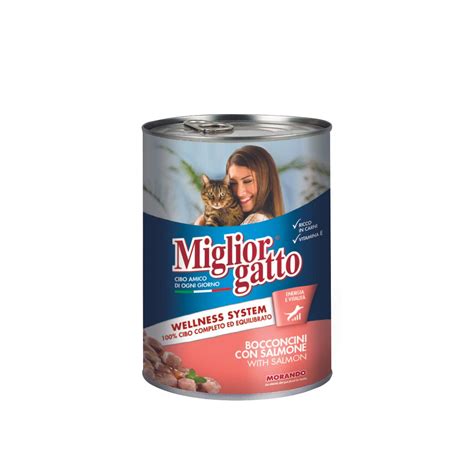 Morando Храна за мачки со лосос 405г Најголема онлајн продавница во Македонија Ананас МК