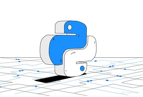 The Key Motivations Behind Pythons Popularity In