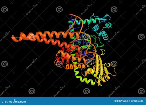 Dna Topoisomerase An Enzyme Which Controls Stock Illustration