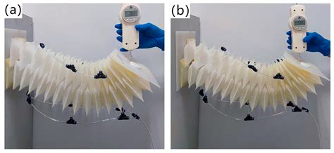 Design Of Heavy Load Soft Robots Based On A Dual Biomimetic Structure