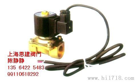 2A水下电磁阀喷泉电磁阀 阀 接头 维库仪器仪表网