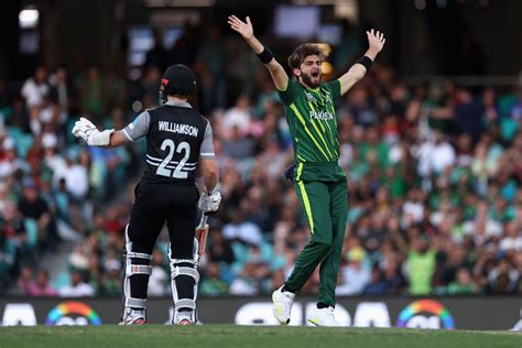 PAK Vs NZ 2023 Telecast Channel Where To Watch Pakistan Vs New Zealand T20I Series In India